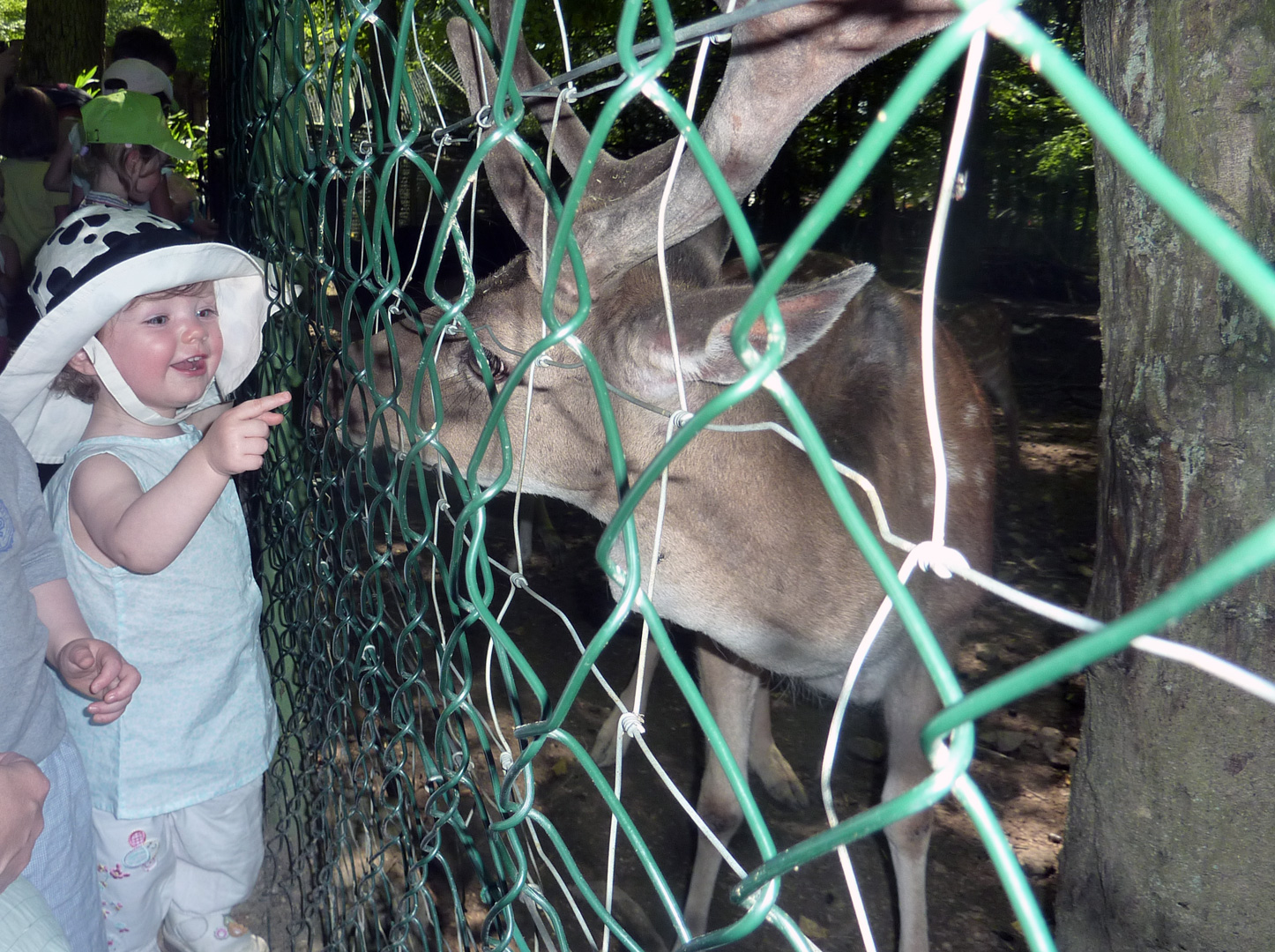 Mia’s busy week | Michael Jago's Blog